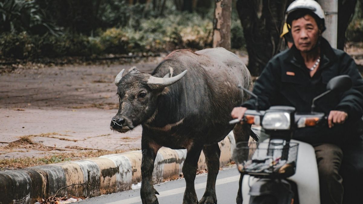 Top 50+ ảnh đẹp Tây Ninh ấn tượng, thu hút